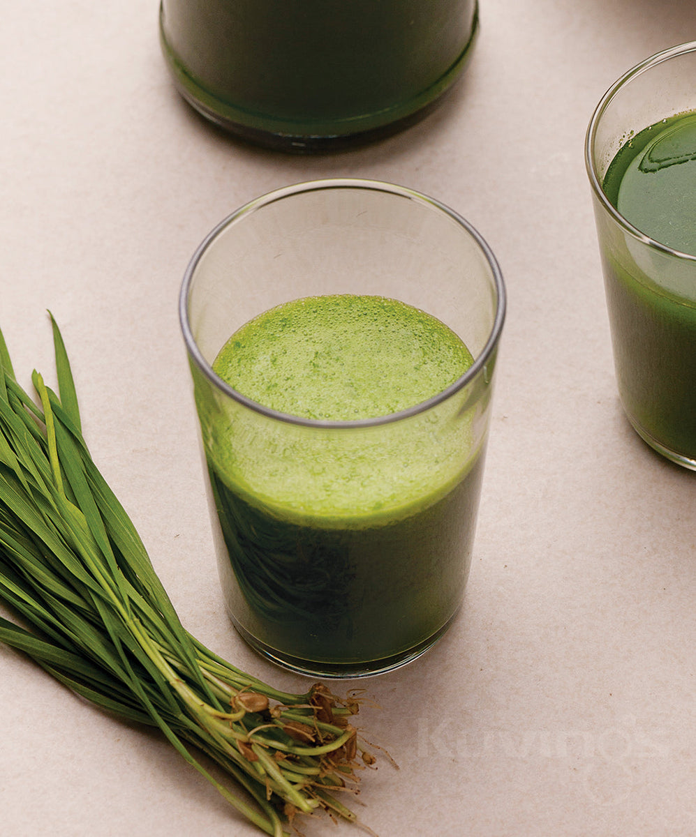 Detox Wheat Sprouts Juice – Kuvings