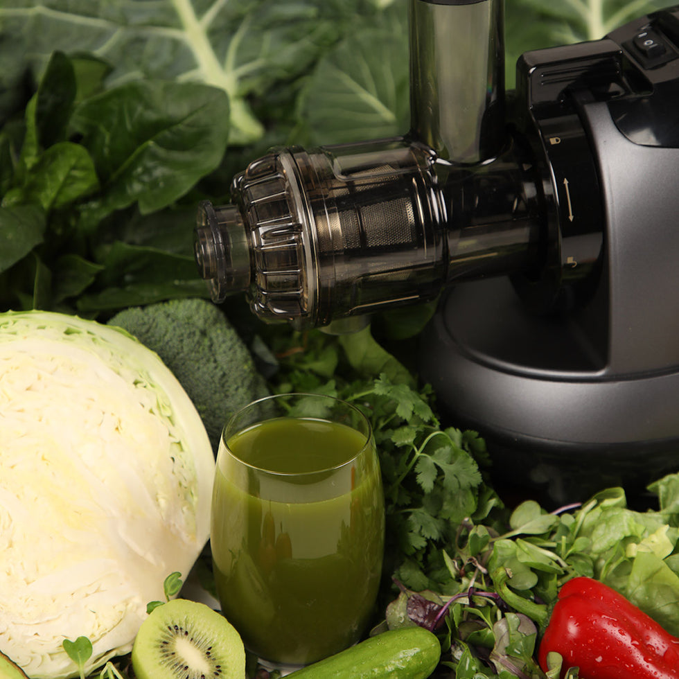 Horizontal Slow Juicer – Kuvings