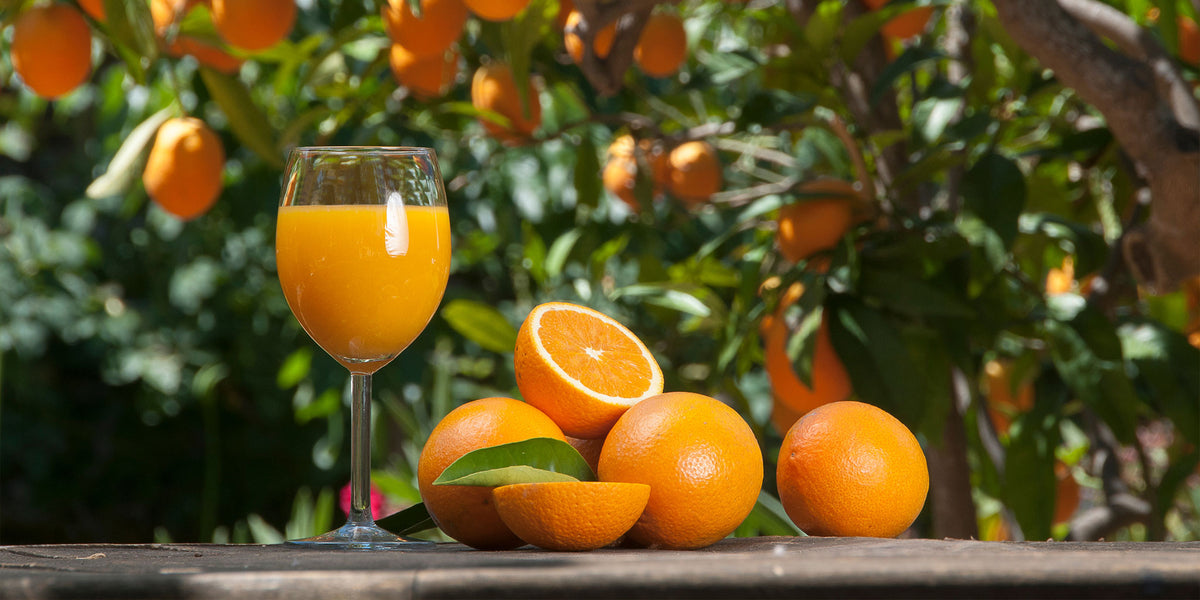 Cold Pressed Juice – Kuvings